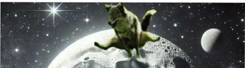 Home - Moon Moon Meme on Moonshot